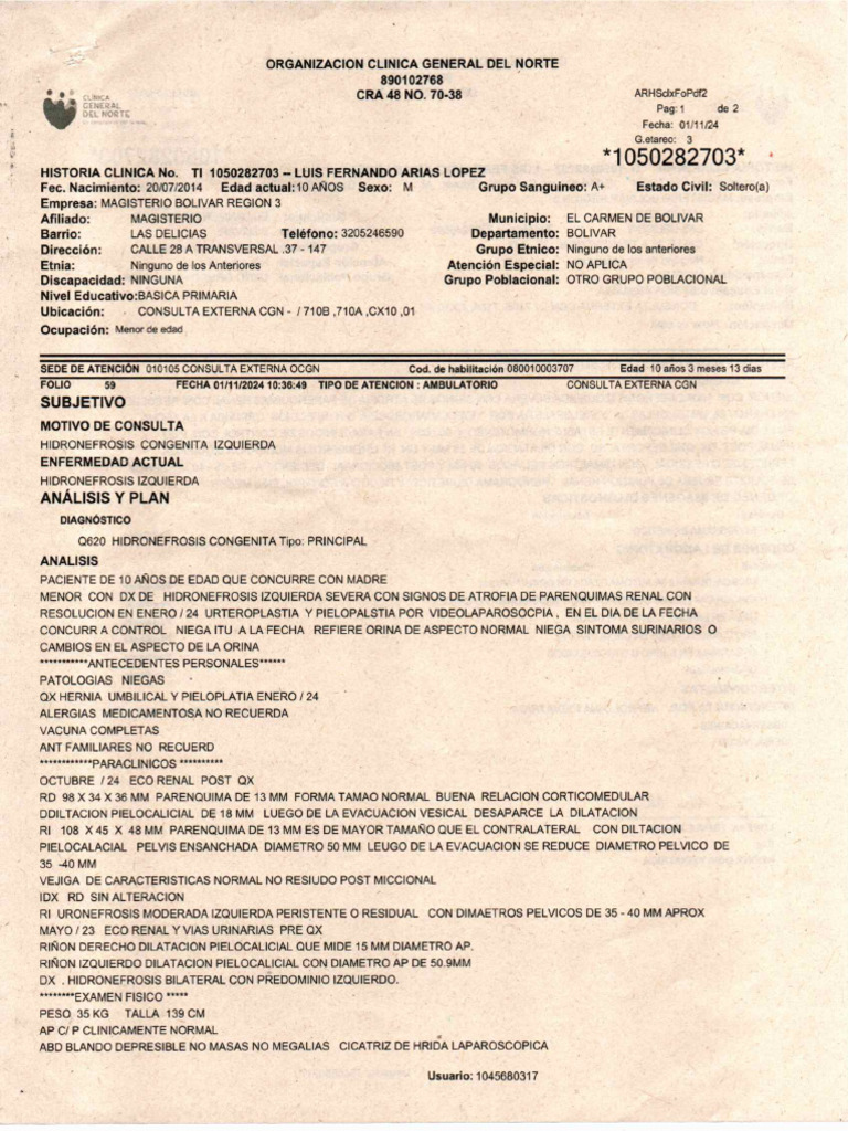 Renograma | PDF