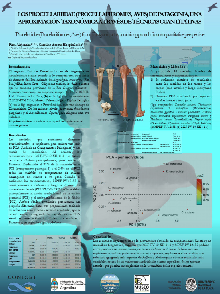 Piro Alejandra Poster RCAPA 2024 | PDF | Análisis de componentes ...