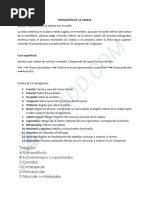 Anatomía de la región superciliar | PDF | Anatomía humana | Cabeza y ...
