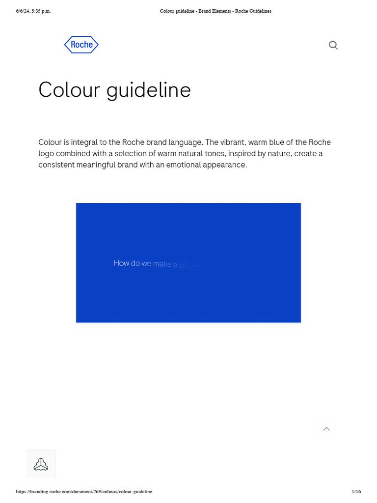 Colour Guideline - Brand Elements - Roche Guidelines | PDF | Computer ...