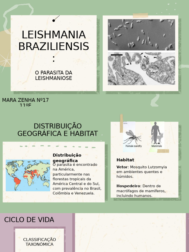 Pathogens and Communicable Diseases Education Presentation | PDF ...