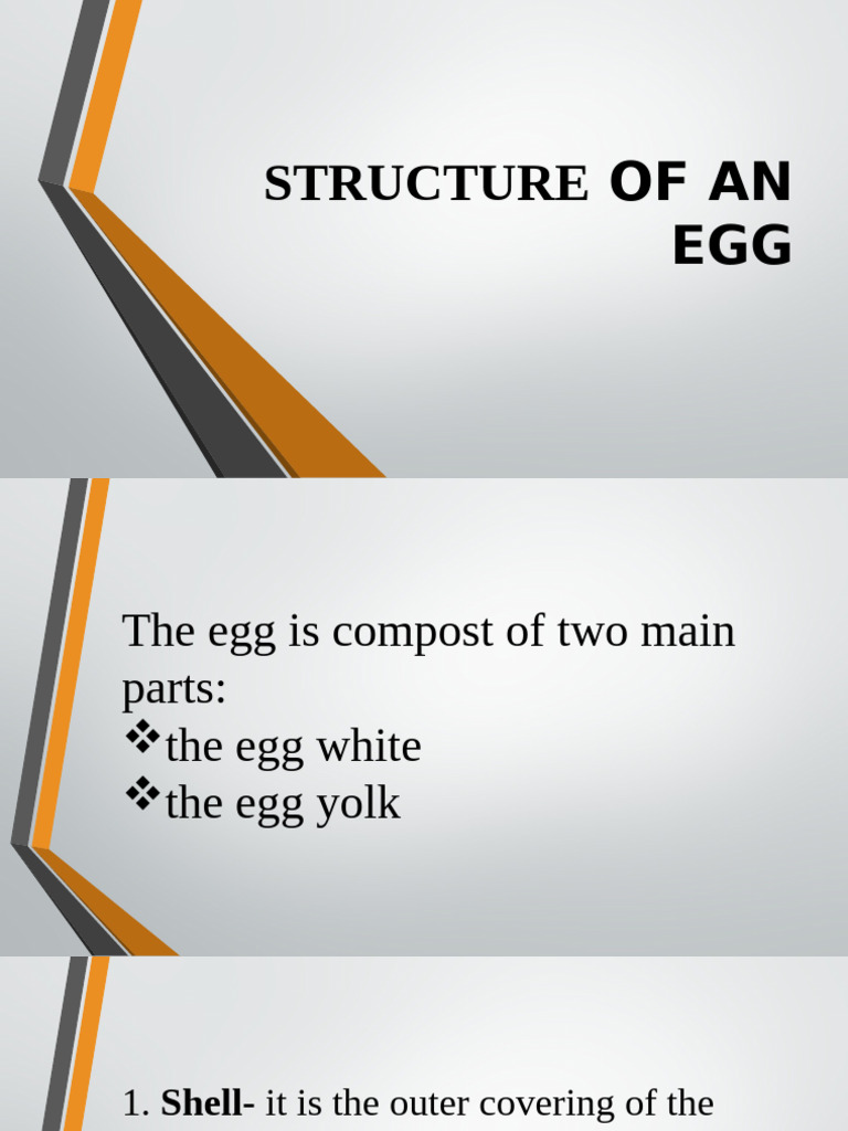 Structure and Types of Eggs Explained | PDF