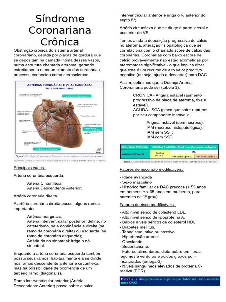 Entendendo a Síndrome Coronariana Crônica | PDF | Doença arterial ...