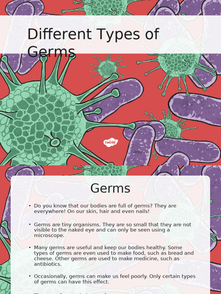 Types of Germs: Bacteria, Viruses, Fungi, Protozoa | PDF ...