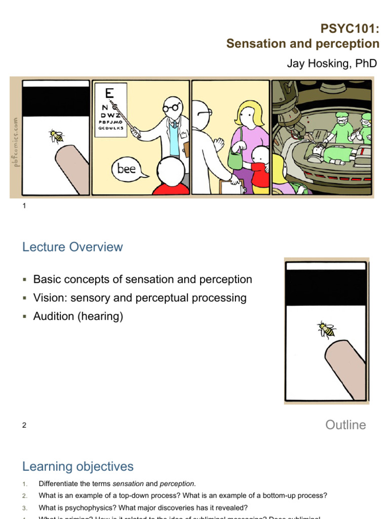 PSYC101 Lecture 06 - Sensation and Perception | PDF | Hearing | Perception
