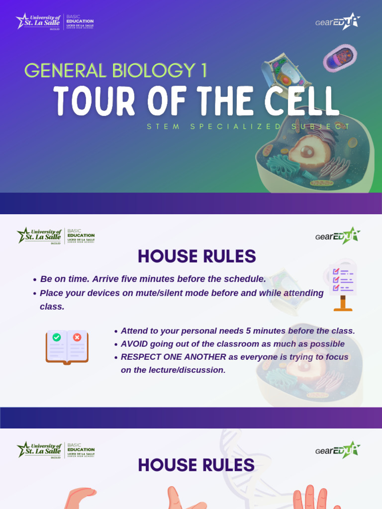 Lesson 3 Tour of The Cell | PDF | Ribosome | Cell Nucleus
