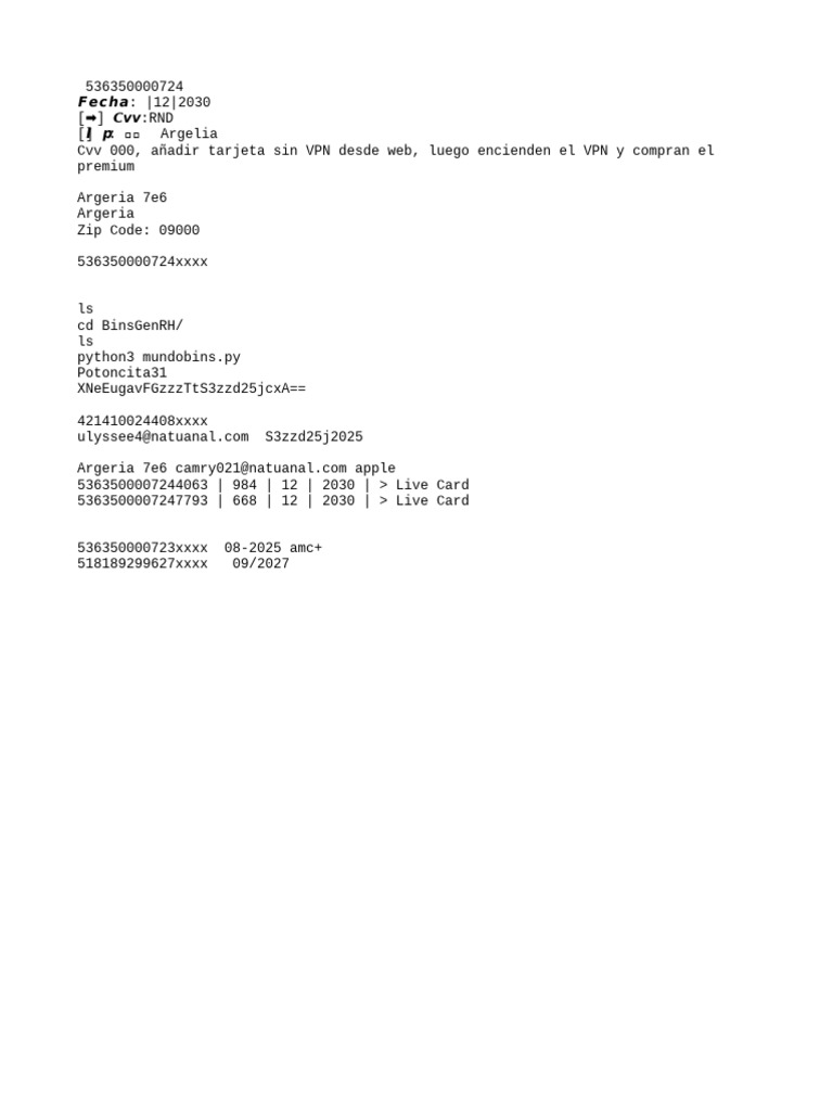 Bin Youtube | PDF