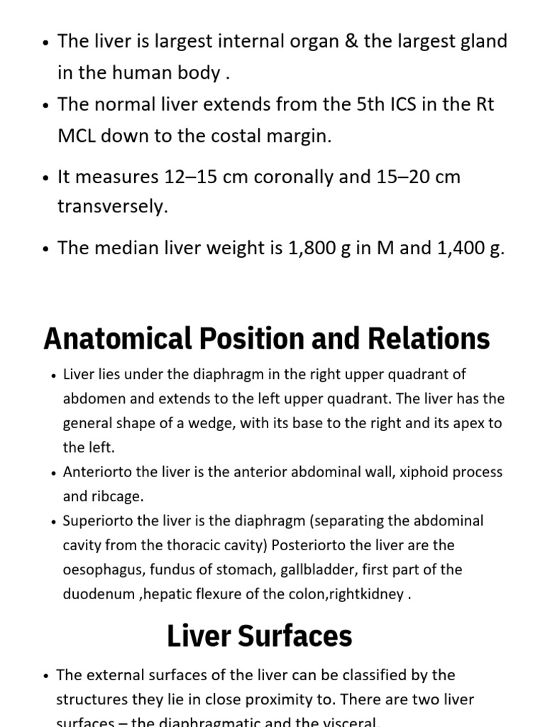 Anatomy of Liver - 20241110 - 191508 - 0000 | PDF