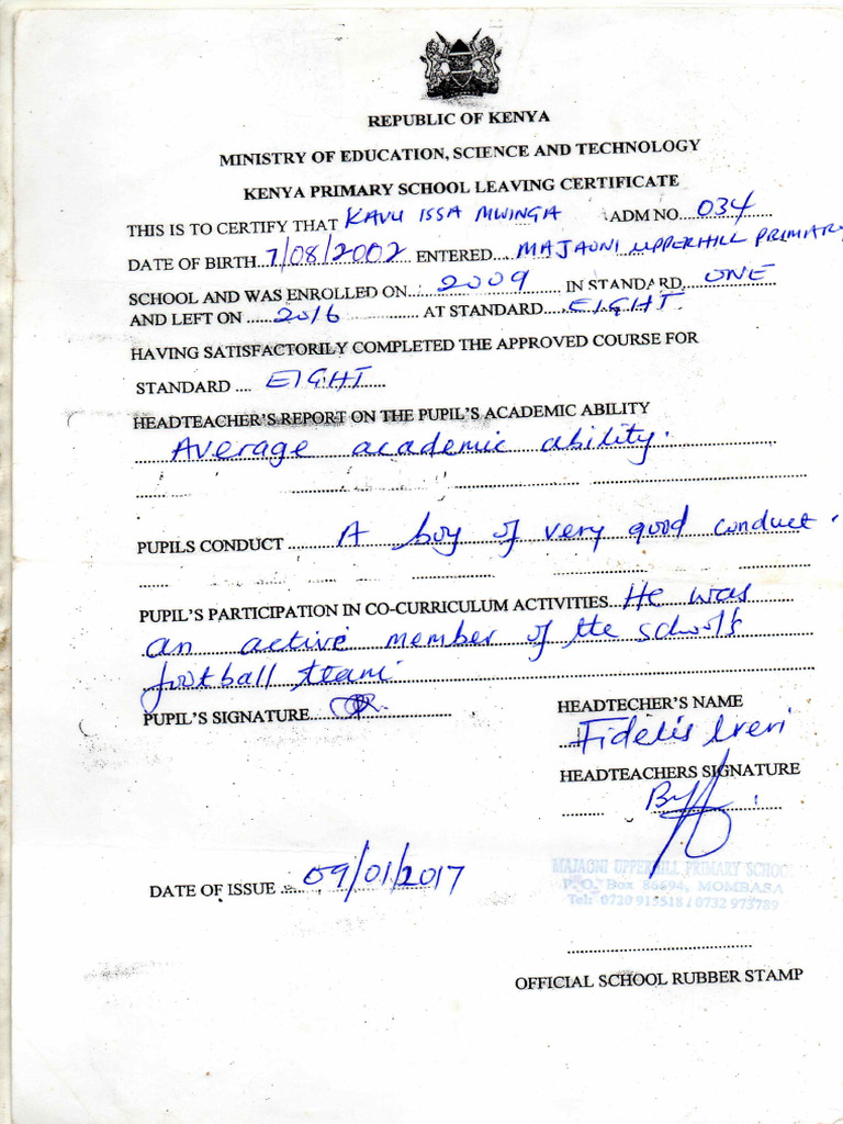 Leaving Cert Primary | PDF