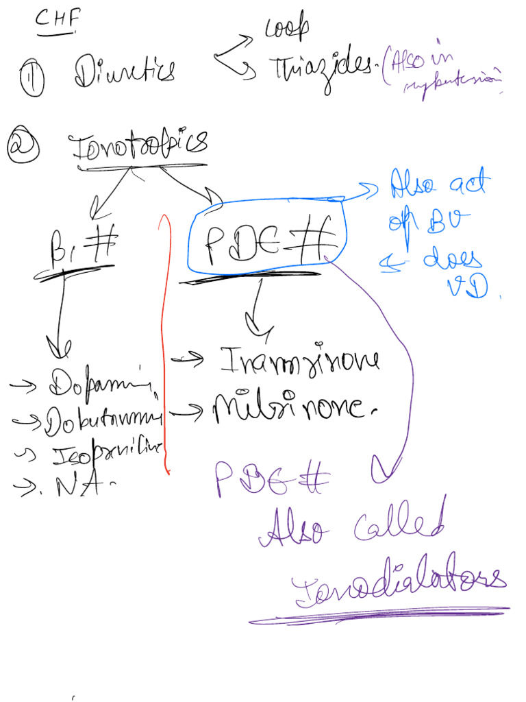 CHF. Short Notes | PDF