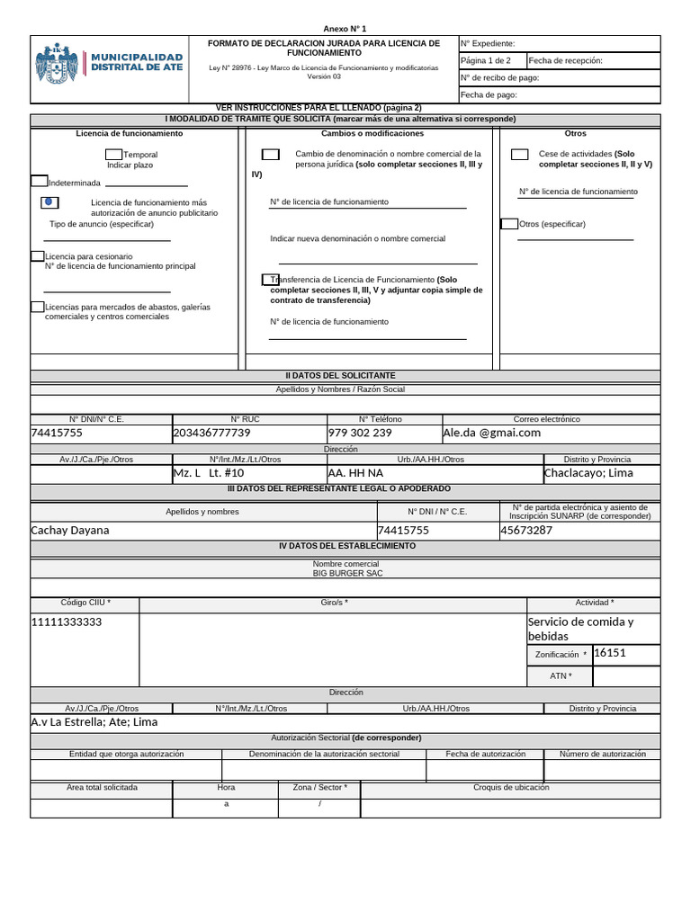 Formato DD.jj . Lic. Ley. 163 2020 PCM TUO Ley Marco Diseno 24-06-24 ...