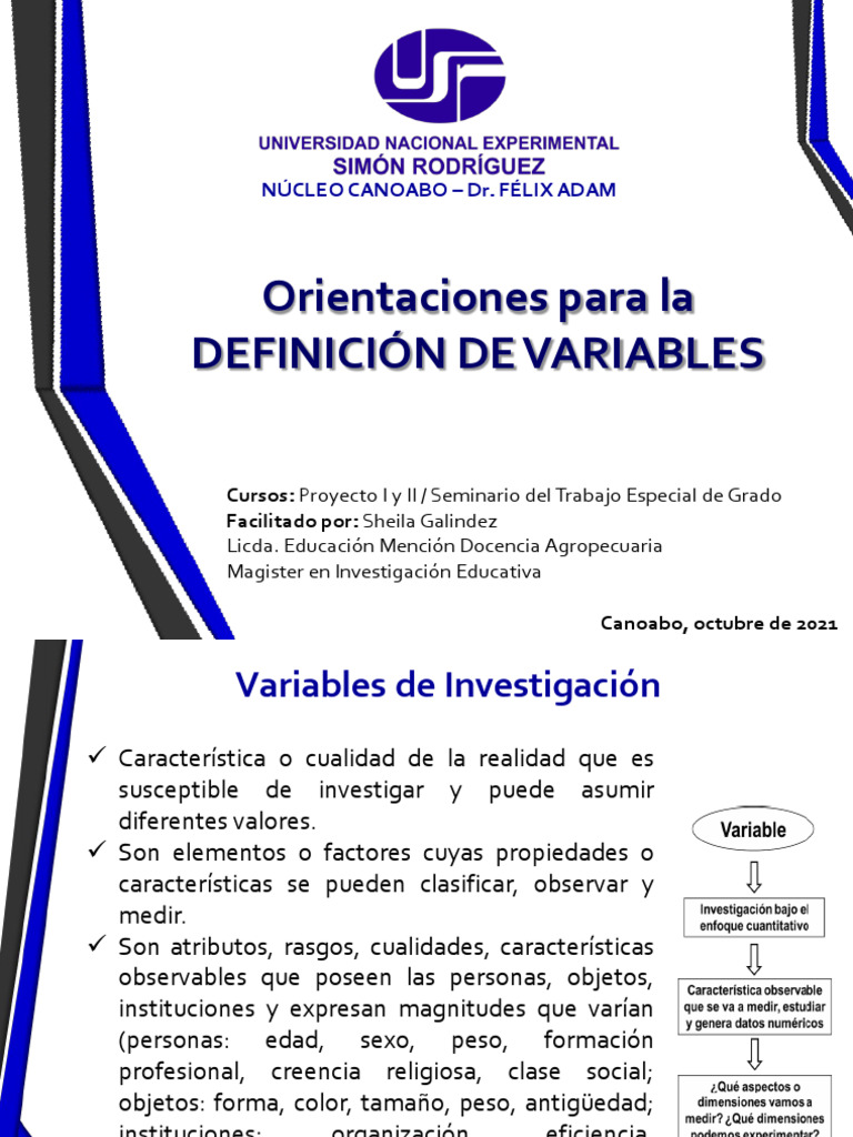Definición Variables | PDF