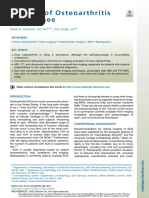 Rosenberg View | PDF | Radiology | X Ray