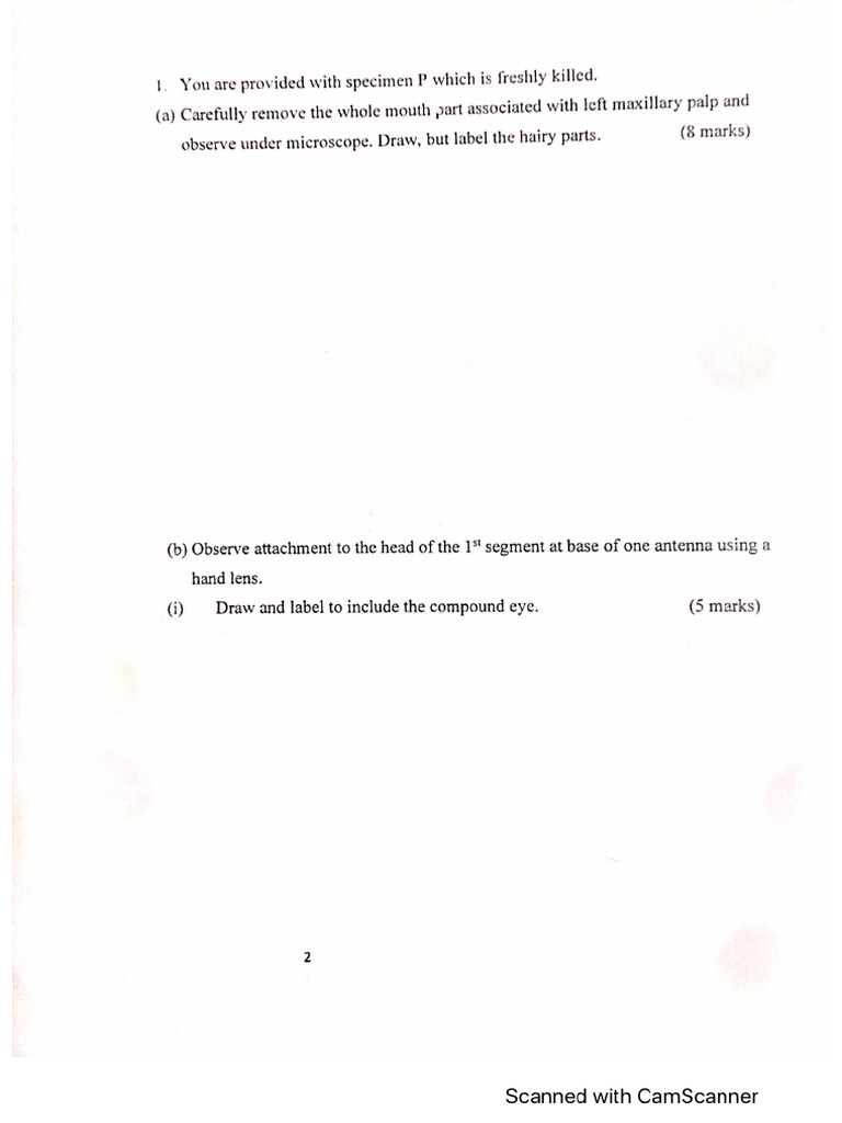 Biology Facilitation Practical | PDF