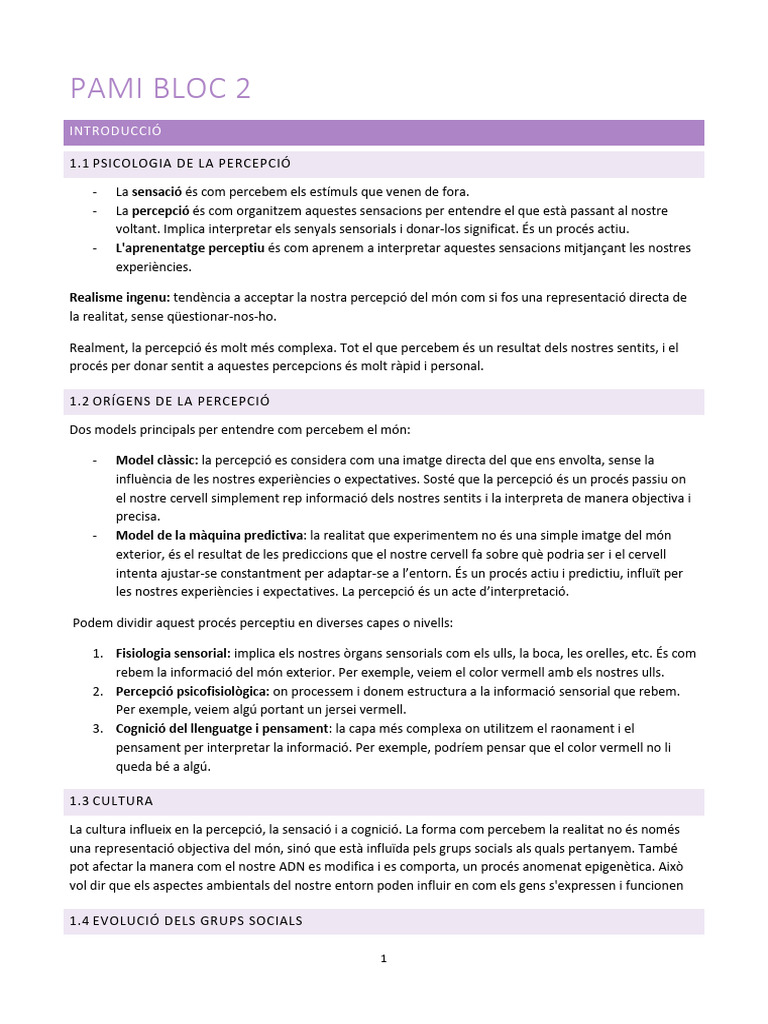 Pami Bloc 2 (Més Peptit) | PDF