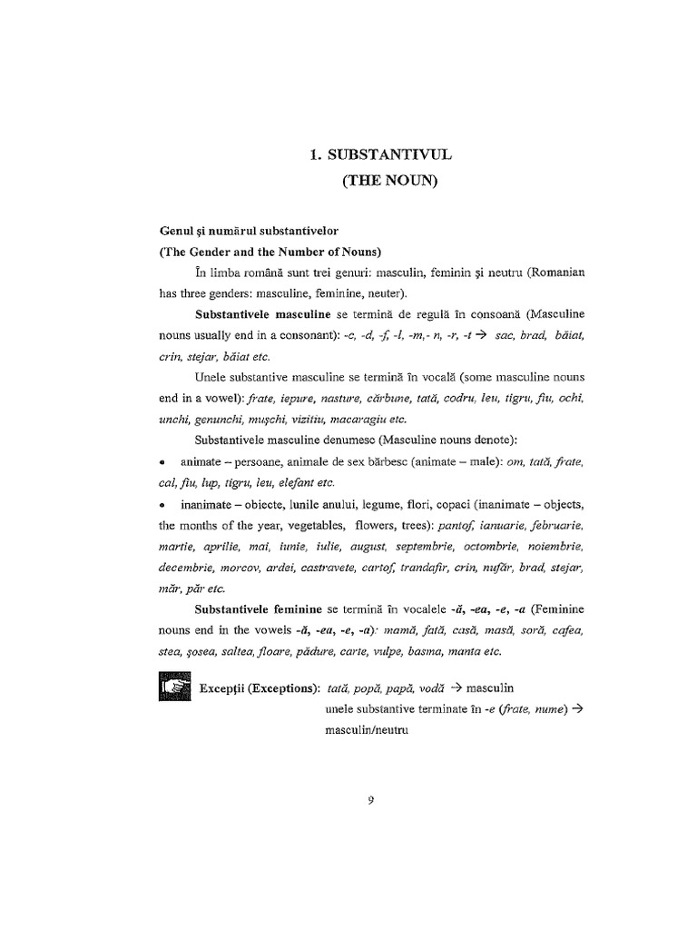 Silvia Krieb-Stoian_Lb.rom. Pt. Straini-gramatica_Substantivul | PDF