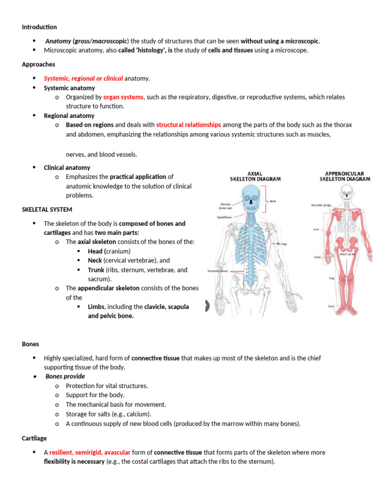 Introduction To The Skeletal System | PDF | Skeleton | Anatomy