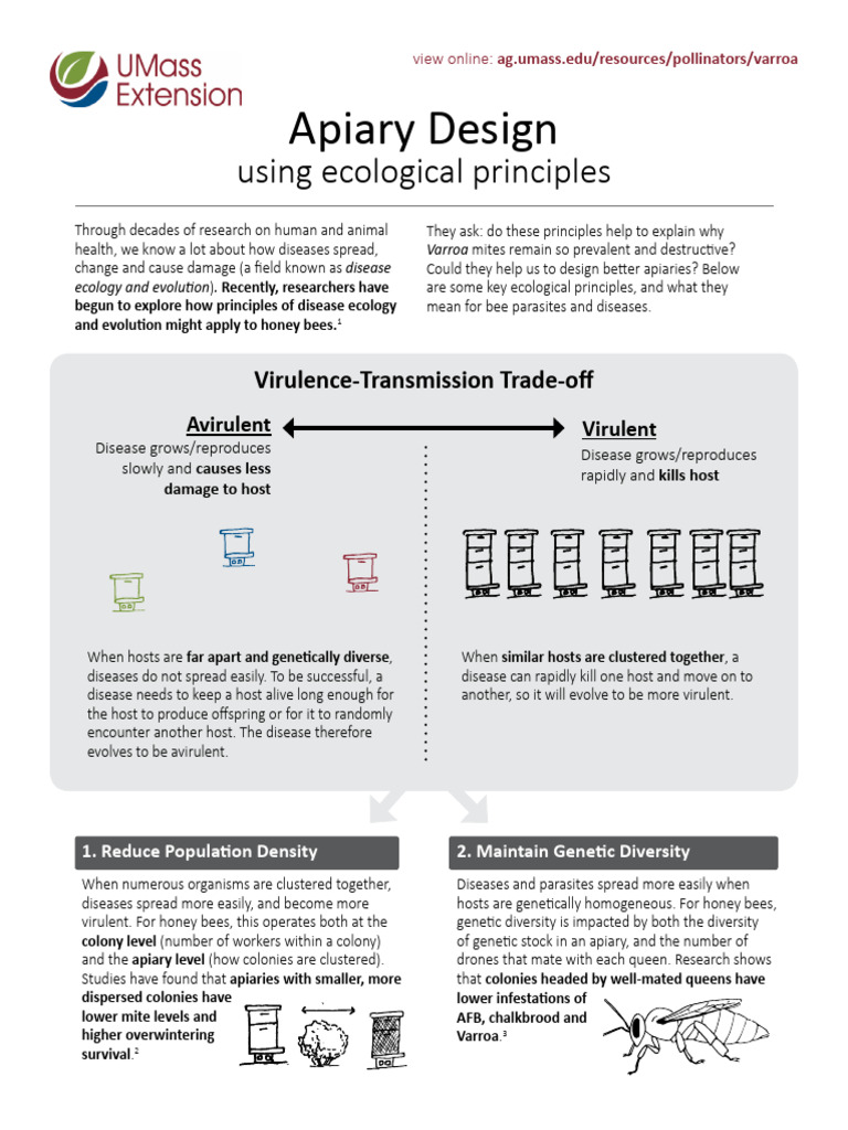 Apiary Design 6.1.20 0-Ua | PDF | Bees | Honey Bee