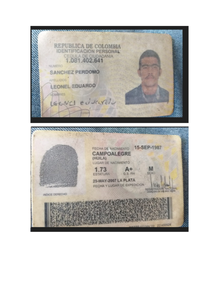 Cedula Leonel (4) | PDF