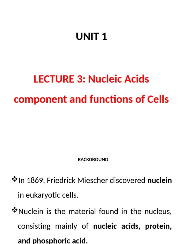 Nucleic Acids: Structure and Functions | PDF | Nucleic Acids | Rna
