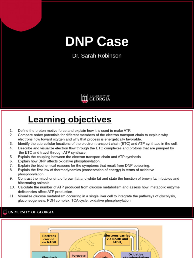 DNP Case Intro_Spring 2024 | PDF | Adenosine Triphosphate | Diet ...