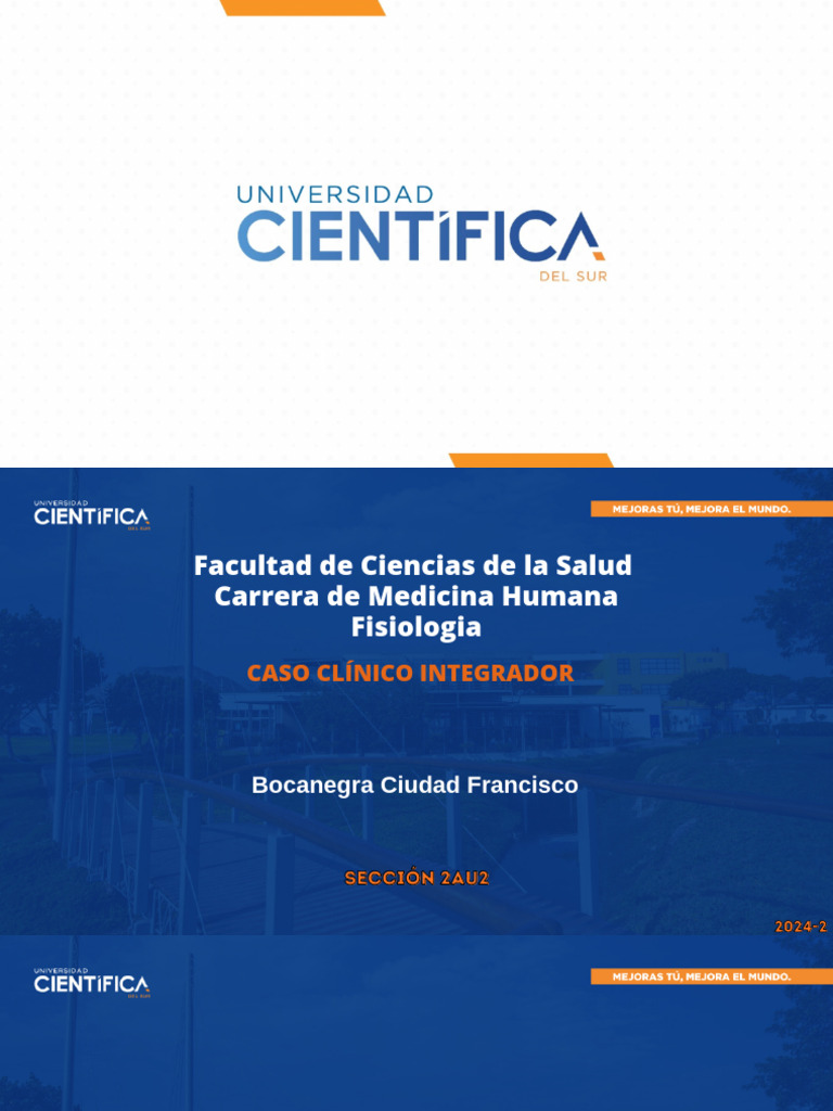 MORFO II - Fisio - Semana 6 | PDF