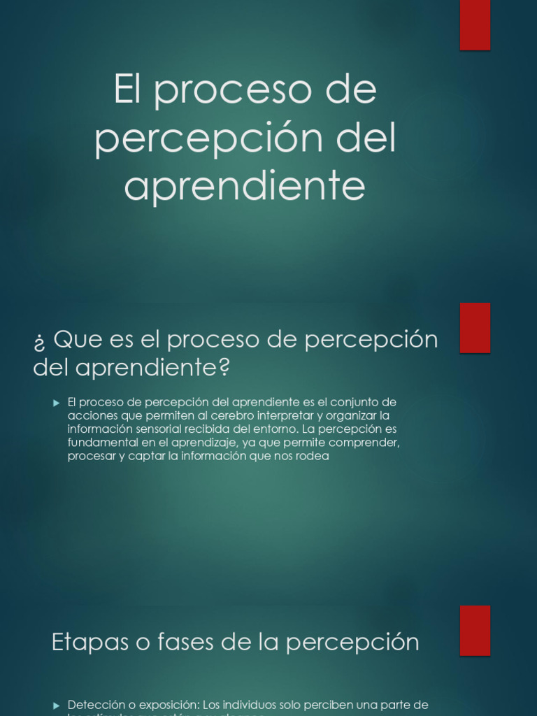 Proceso de Percepcion Del Aprendiente | PDF | Percepción | Evaluación ...