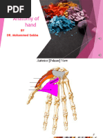 The Muscles of the Hand - Thenar - Hypothenar - TeachMeAnatomy | PDF ...