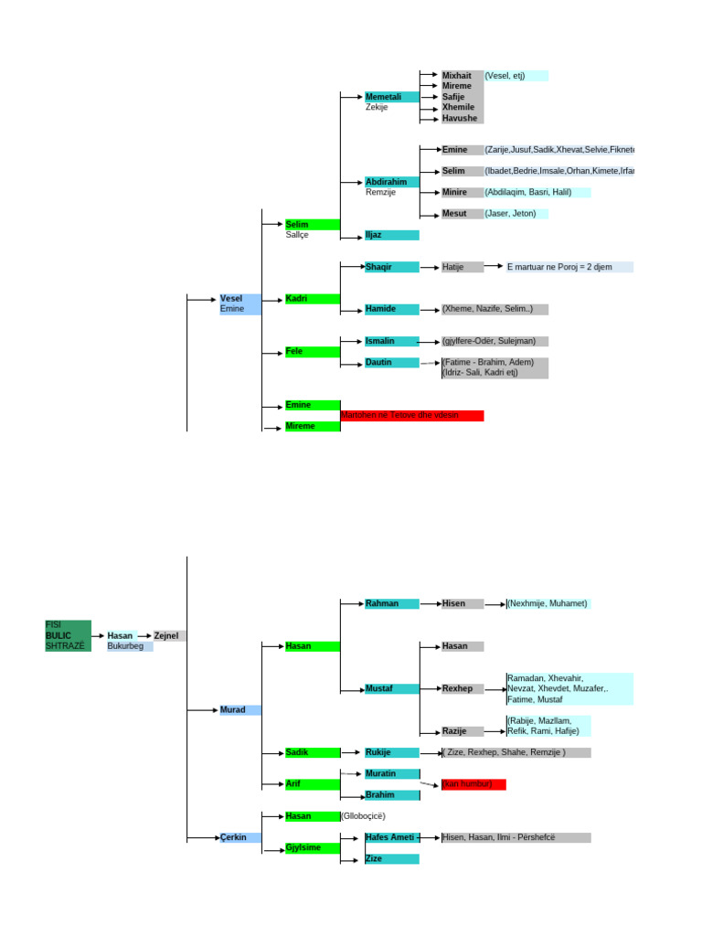 Druri-i-familjes-sonë | PDF
