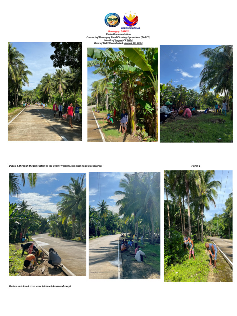Barangay Dawis Road Clearing Report August 2024 | PDF