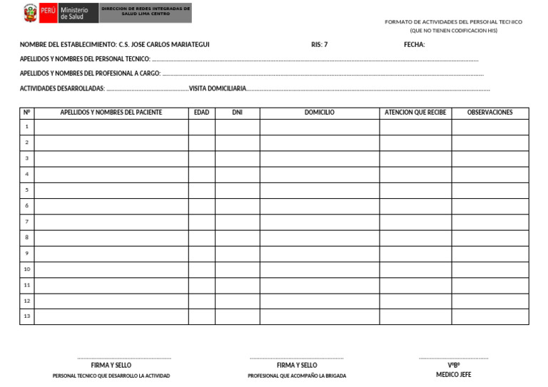 Formato de Aps | PDF | Cuidado de la salud | Medicina