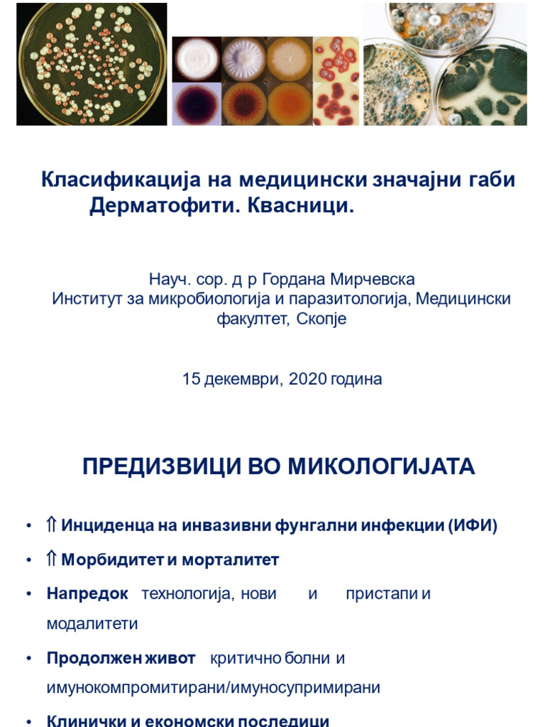 PREDAVANJE Klasifikacija Na Medicinski Znacajni Gabi. Dermatofiti ...