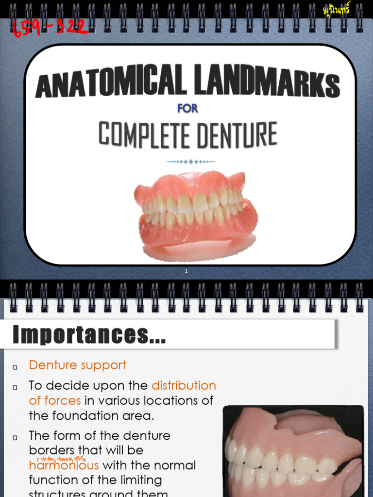 Anatomical Landmark - 2019 BT | PDF