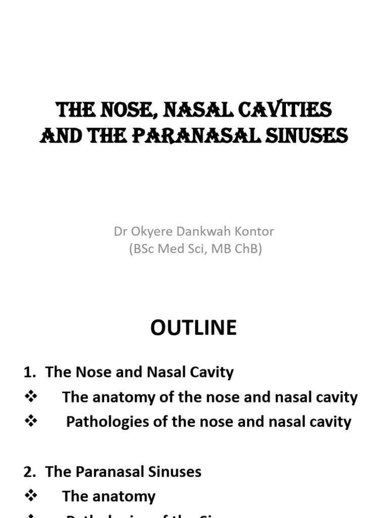 The Nose and Paranasal Sinus | PDF | Human Nose | Allergy