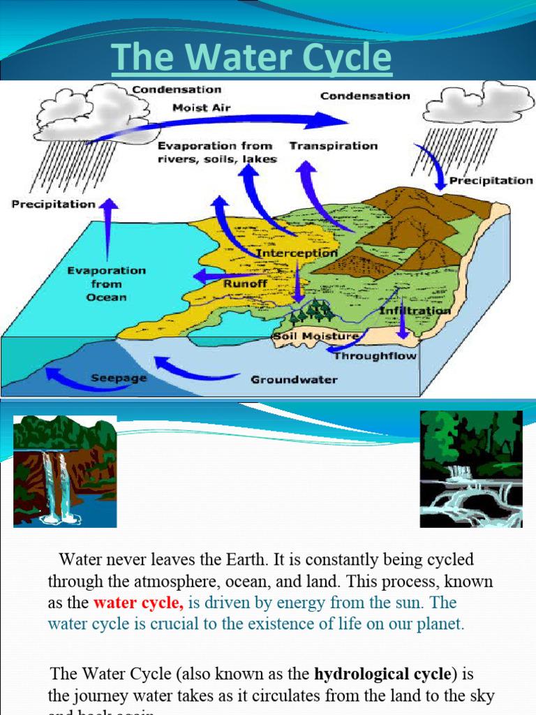 Water Cycle & River Dynamics | PDF | Water Cycle | Erosion