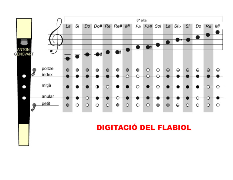 Flabiol Digitacio | PDF