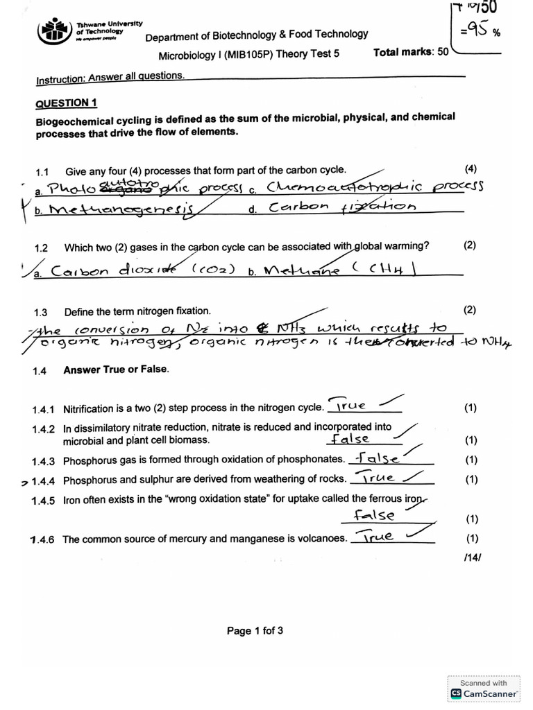 MIB test 5 2023 | PDF