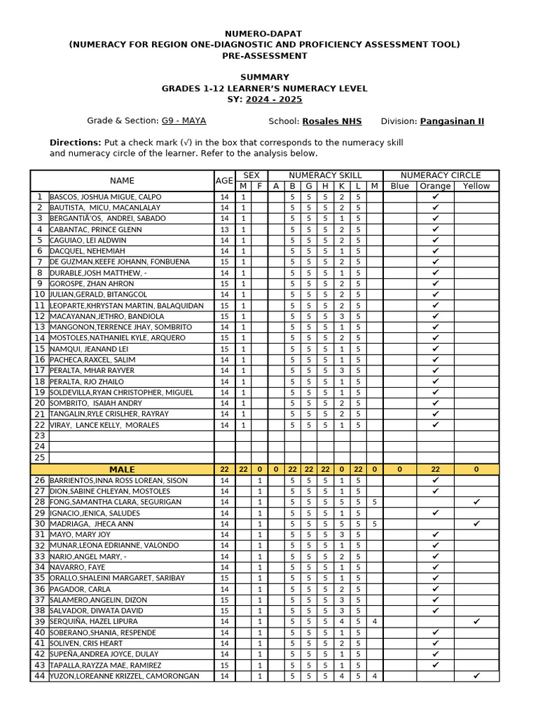 Learner Numeracy Assessment Summary | PDF | Procedural Knowledge | Science