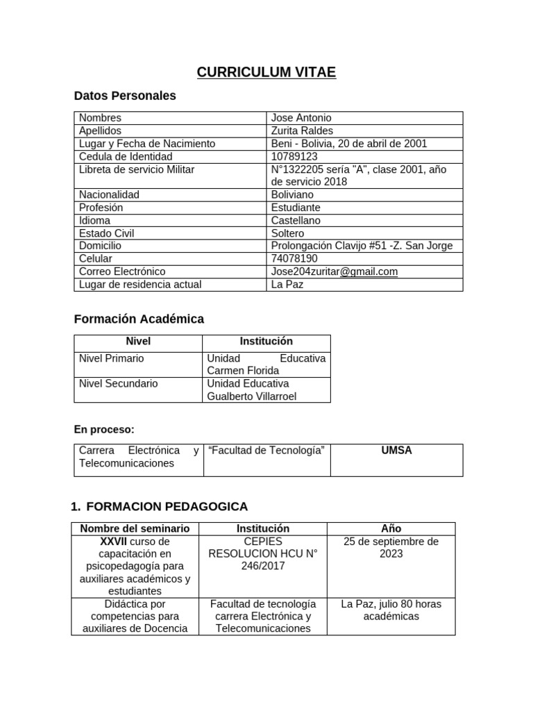 Curriculum 2025 | PDF
