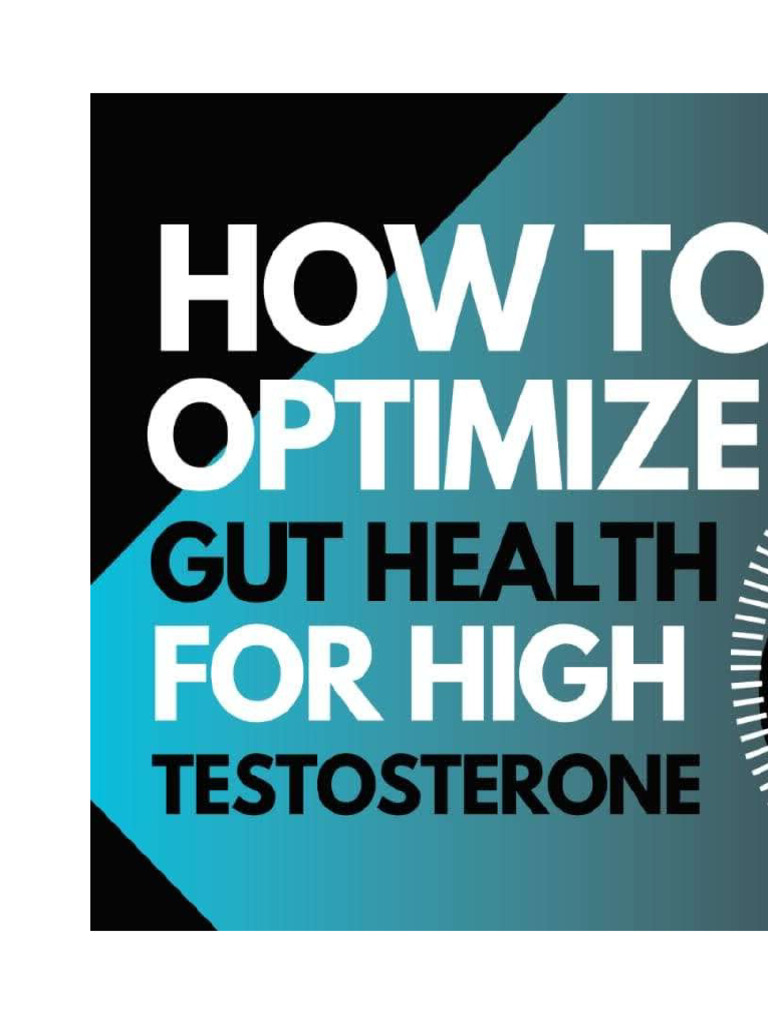 How To Optimize Gut Health For High Testosterone | PDF ...