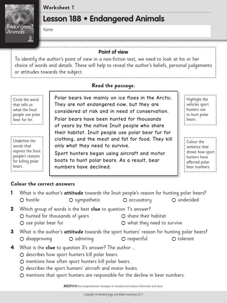 Year 6 Comprehension Worksheet 08 | PDF | Hunting | Polar Bear