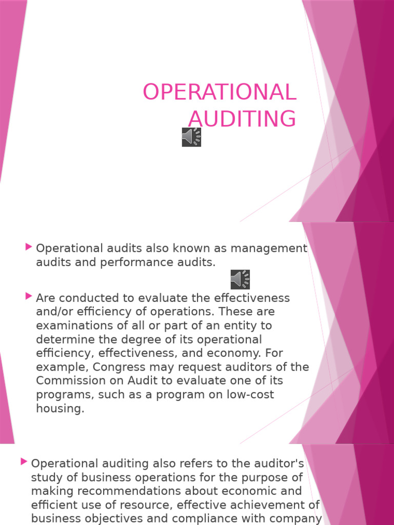 Operational Auditing Part 1 | PDF | Audit | Business