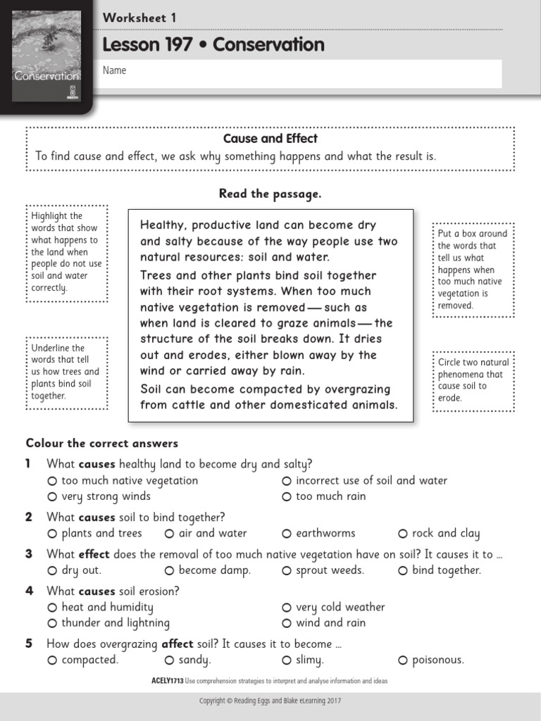 Year 6 Comprehension Worksheet 17 | PDF | Smog | Soil