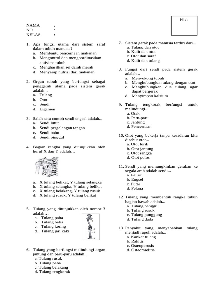Ulangan Harian IPAS Sistem Gerak | PDF