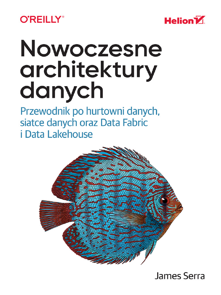 Nowoczesne Architektury Danych. Przewodnik Po Hurtowni Danych, Siatce Danych Oraz Data Fabric I ...
