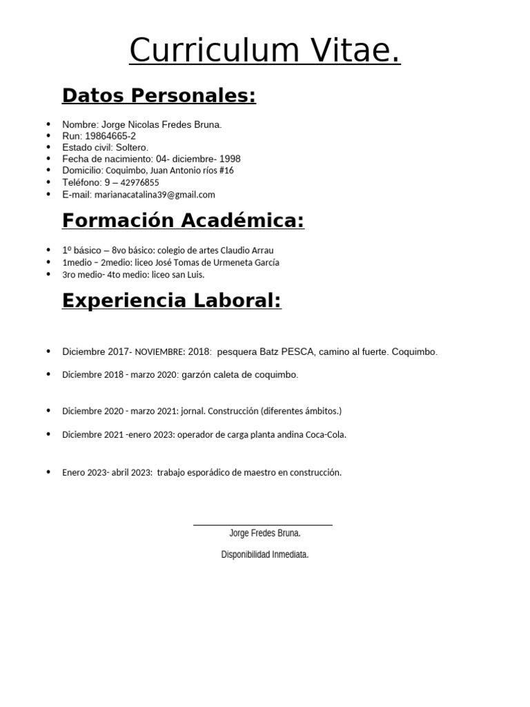 cv jorge | PDF