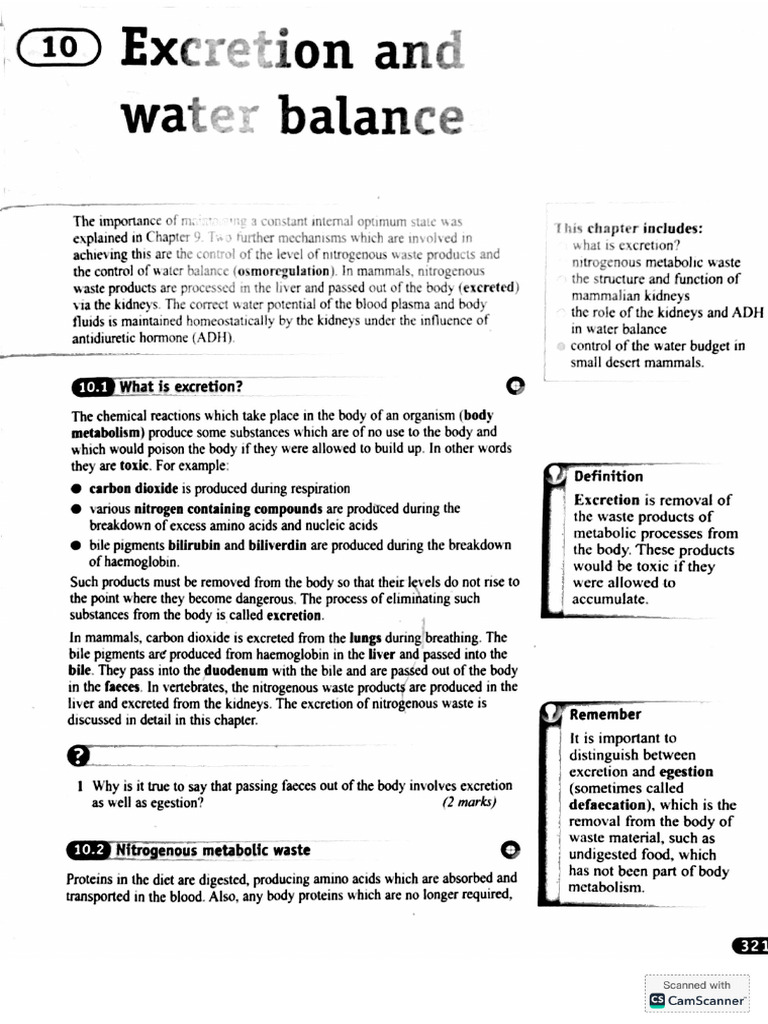 Excretion and osmoregulation | PDF