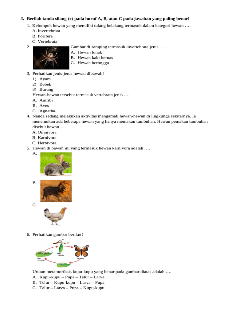 Soal Aas Ipas Kelas 3 | PDF