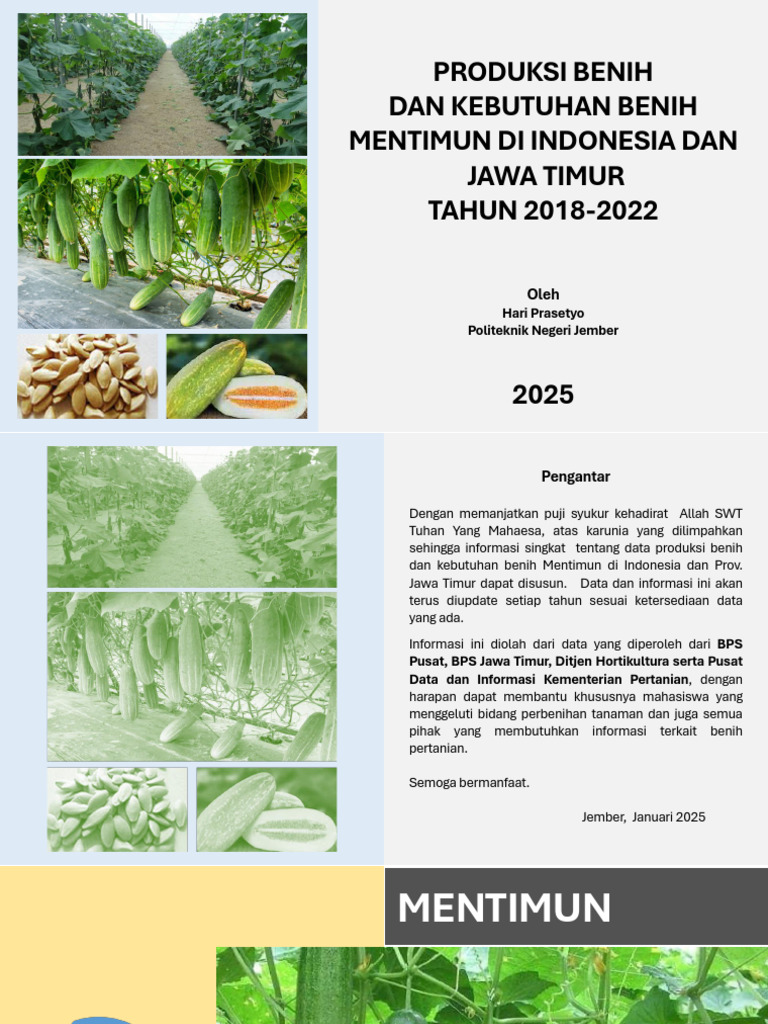 Produksi dan Kebutuhan Benih Mentimun | PDF
