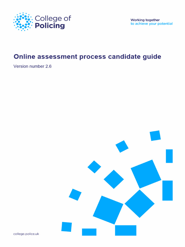 Online Assessment Process Candidate Guide | PDF | Methodology | Mobile App